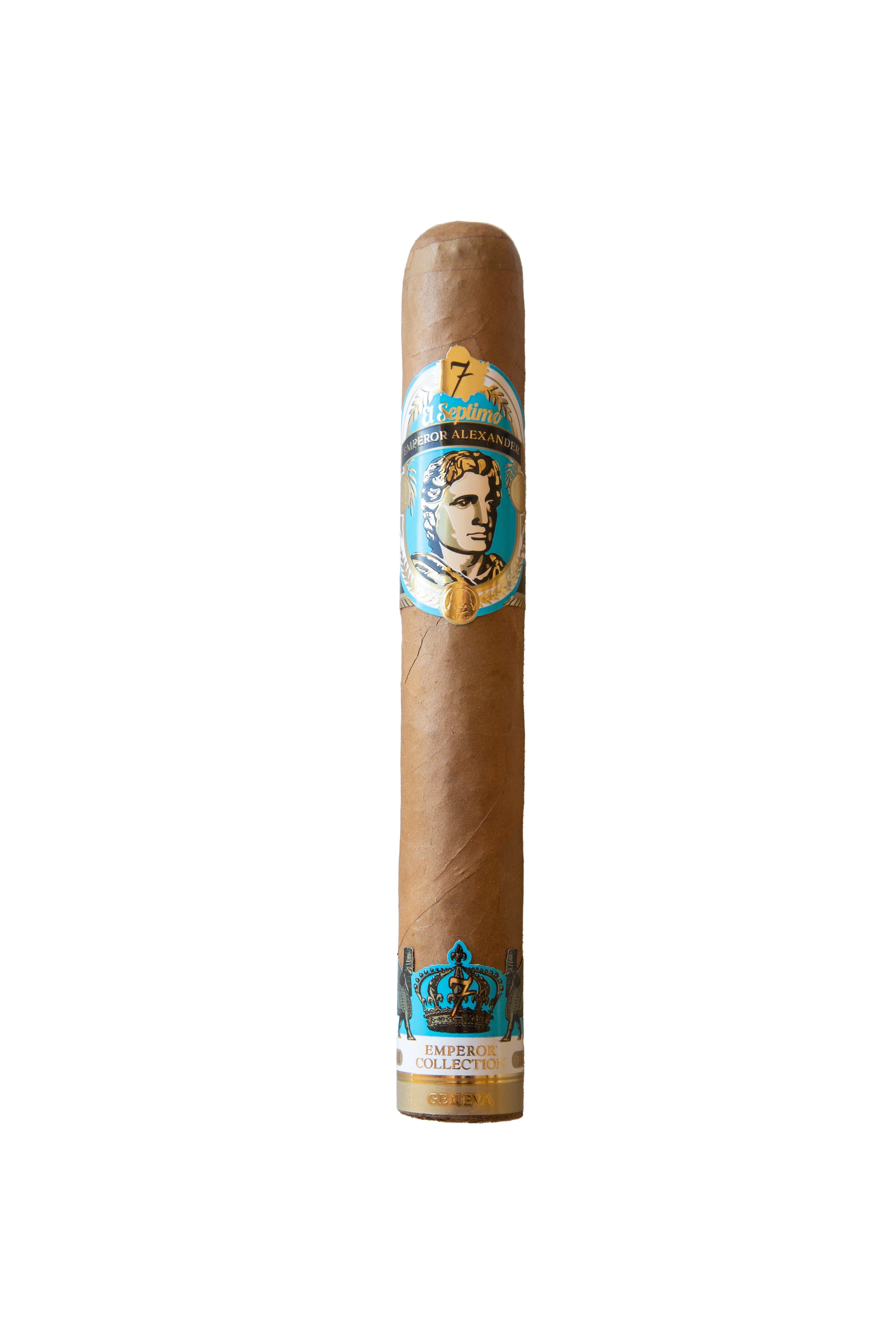 El Septimo - Alexander III - 6“ x 54 Connecticut Toro – El Septimo Dubai
